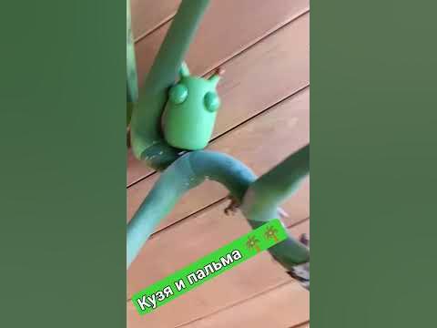 приключение кузи - YouTube