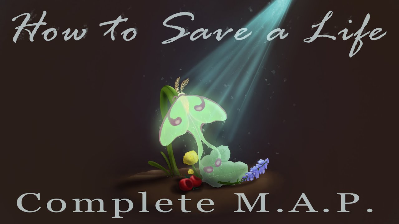 How to Save a Life Animated M.A.P. Thumbnail - YouTube