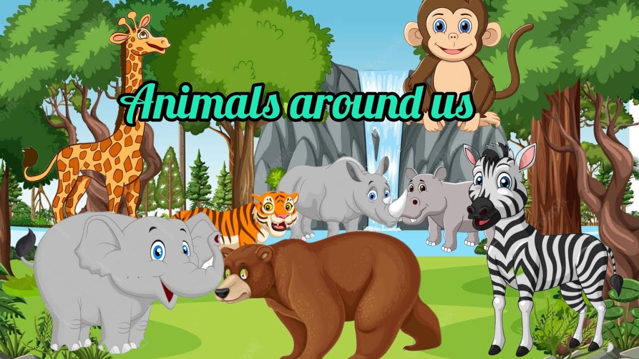 animal around us|wild animals sounds|learn all about animals names and ...