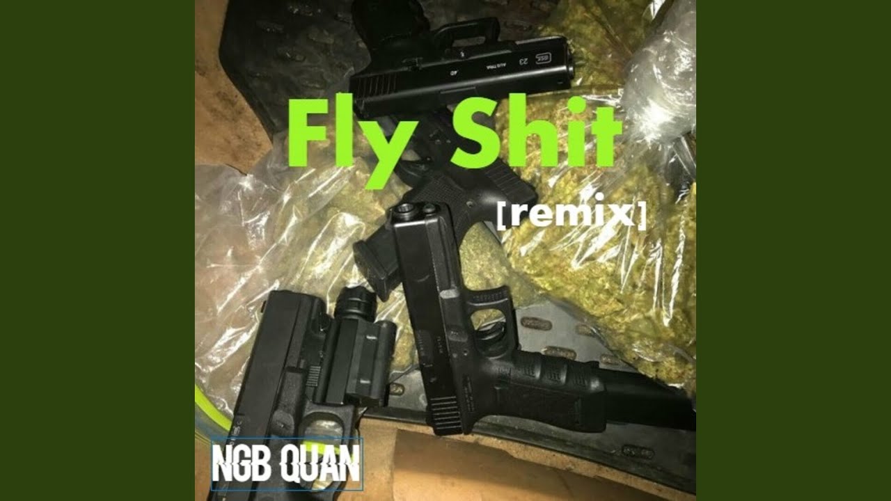 Fly Shit [Remix] - YouTube
