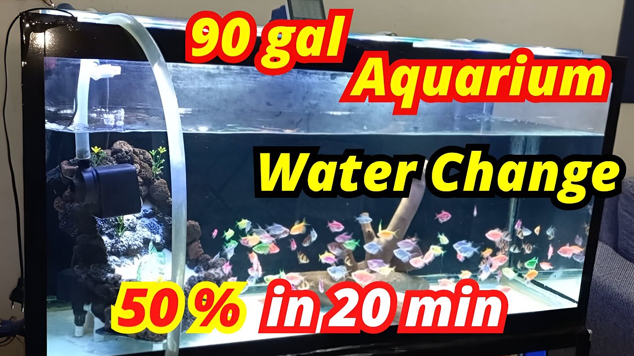 Aquarium Water Change Made Easy | Fish Tank Water Change Tips | Urdu ...