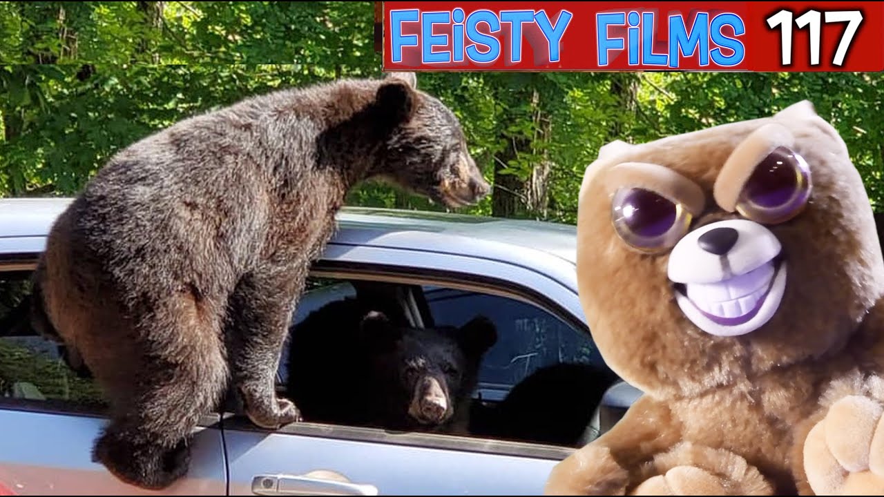How to Steal from Humans! Feisty Films Ep. 117 - YouTube
