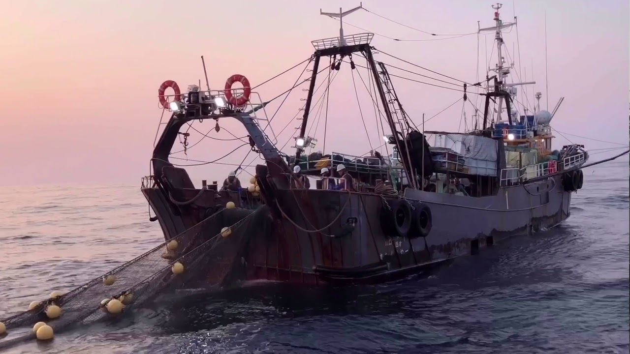 Proses penarikan jaring kapal trawl japan やまぐち丸 - YouTube