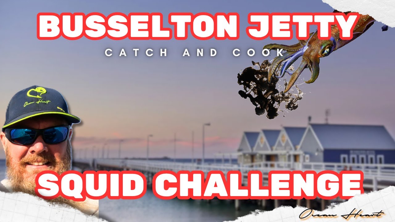 Squid Challenge / Catch and Cook Busselton Jetty Squid challenge Dad vs ...
