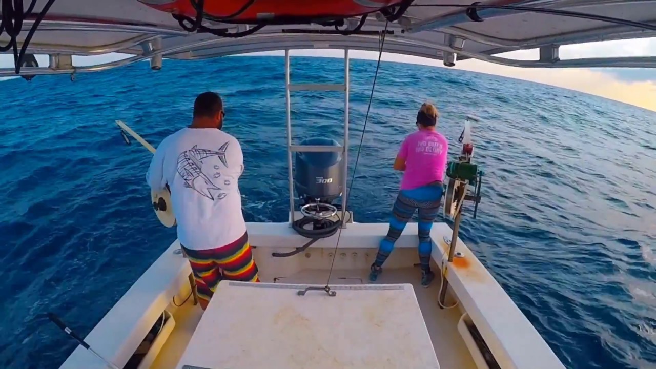 Commercial Fishing For Amberjacks - YouTube