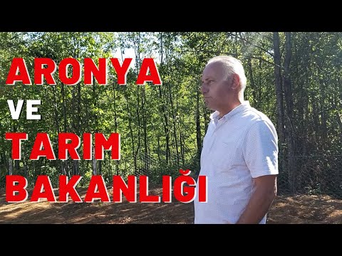 Aronya Meyvesi Hakkinda Merak Edilenler