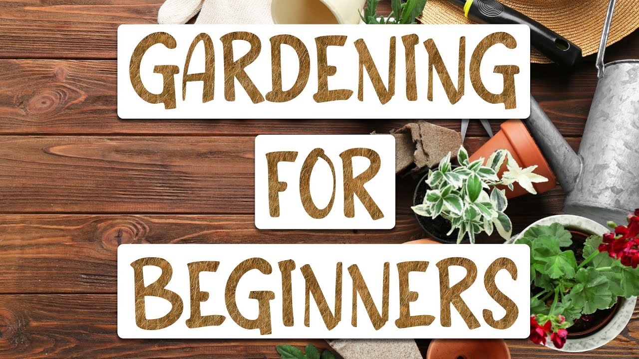 Gardening for Beginners - YouTube