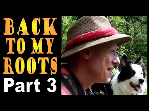 THE OLD FAMILY HOMESTEAD. My Journey Home. Part 3. . - YouTube