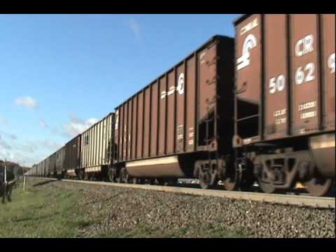 NS 650