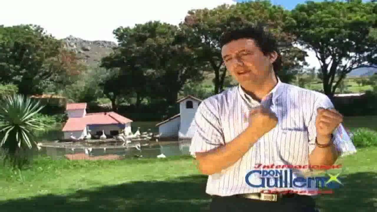 Te olvidaré - Internacional Don Guillermo - YouTube