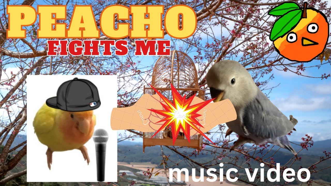 Lil Barry - PEACHO FIGHTS ME music video (beat: @imveedy) - YouTube