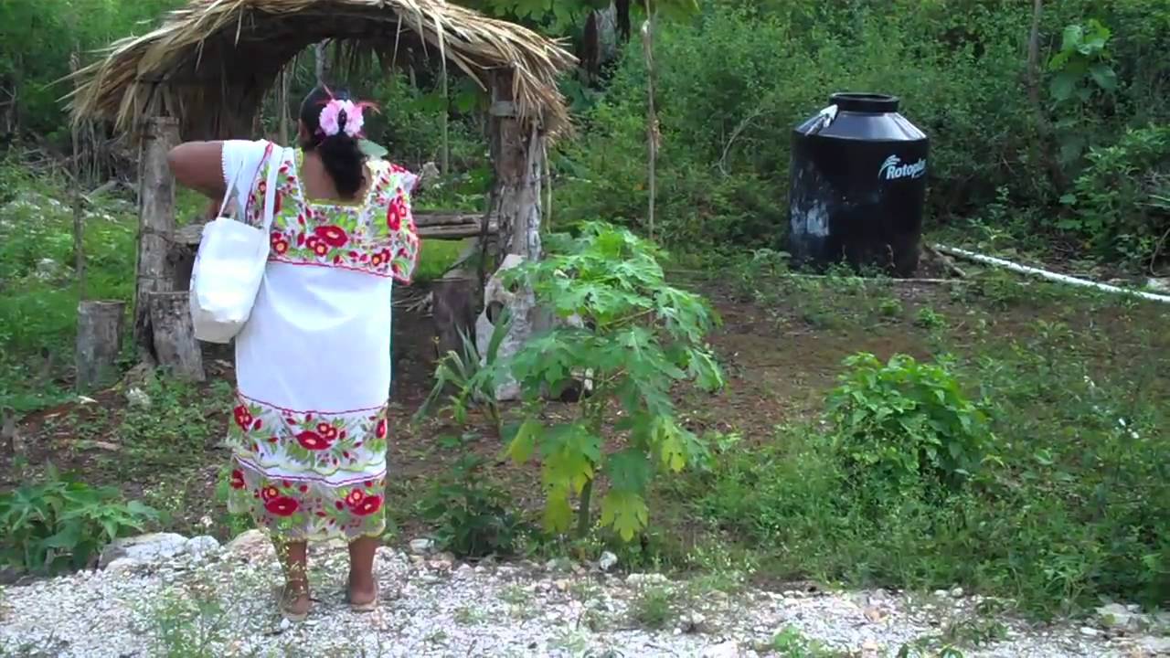Vlog in Mexico: Mayan Healing Center - YouTube