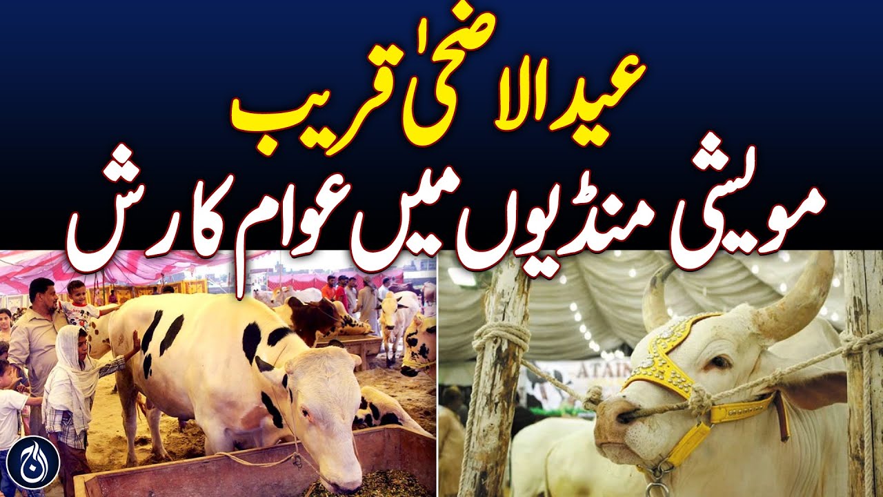 Eid Cattle Markets in Full Swing Across Pakistan - Aaj News - Videos ...