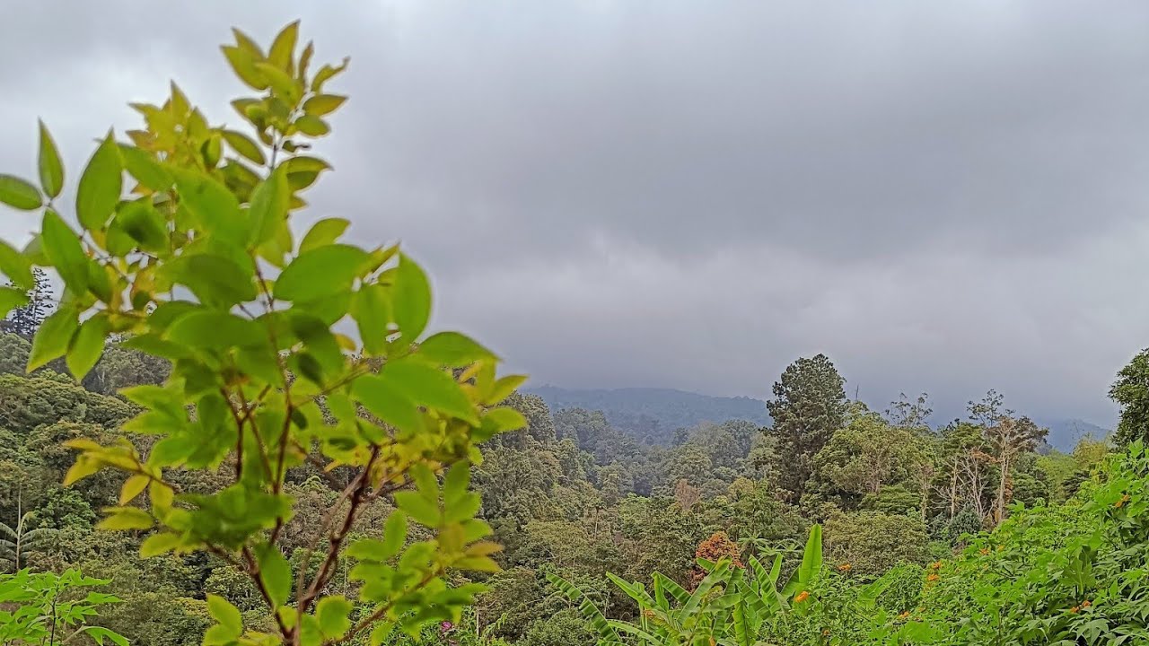 Bersama mu. cukup! Original Song: Bersama mu by Jaz - YouTube