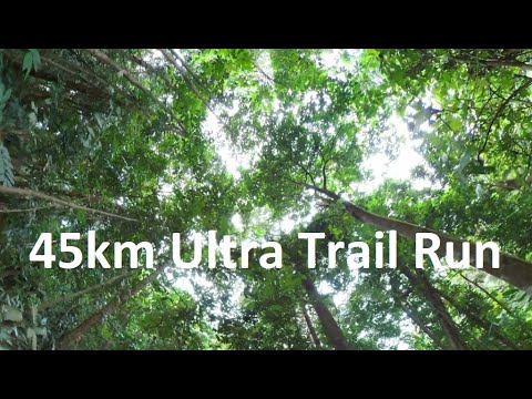 45km Ultra Trail Run | Central Water Catchment - YouTube