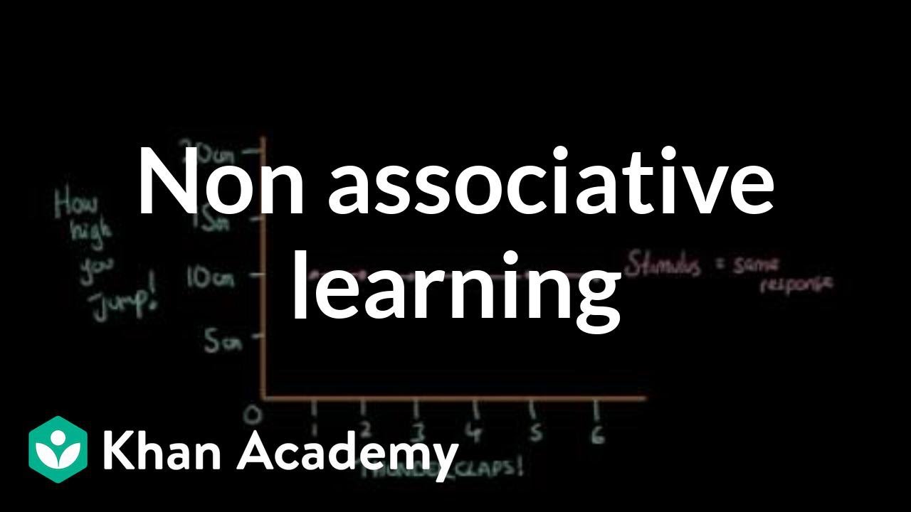Non Associative Learning Behavior MCAT Khan Academy YouTube non-associative-learning-behavior-mcat-khan-academy-youtube