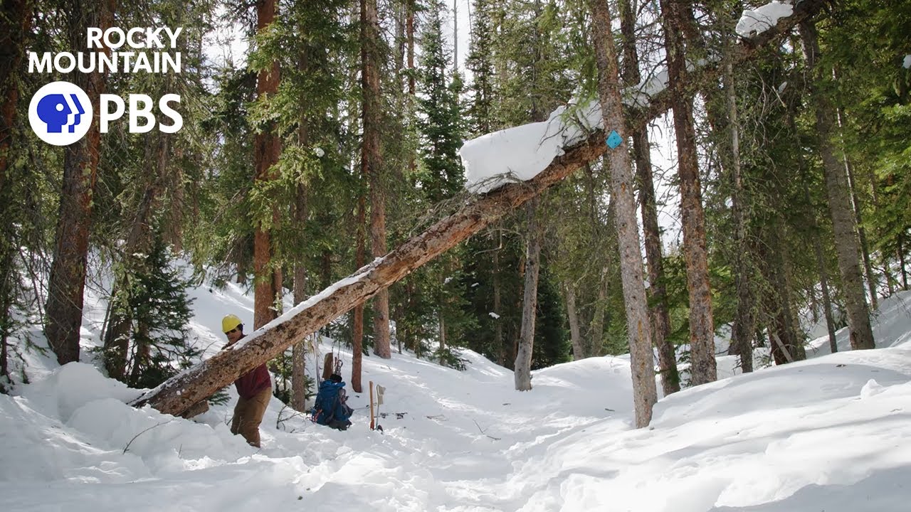 On patrol with the Cameron Pass Nordic Rangers - YouTube