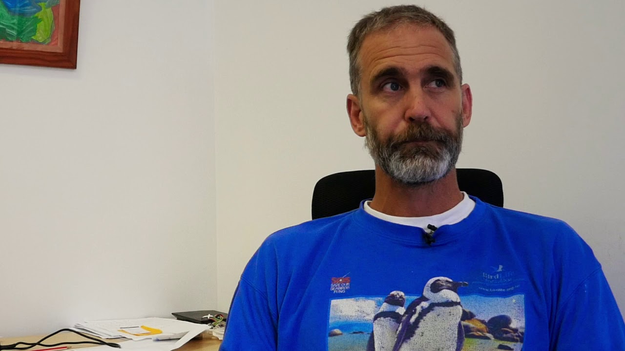 Dr Ross Wanless pt2 - YouTube