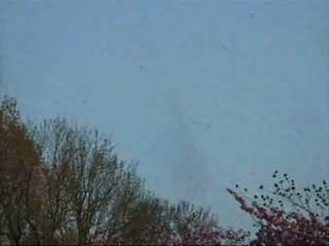Lough Neagh Fly Swarms - YouTube