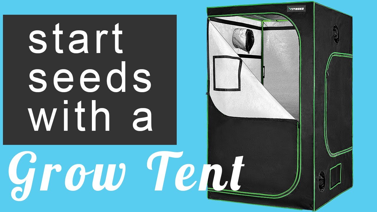 Start Seeds Indoors With a Grow Tent - YouTube