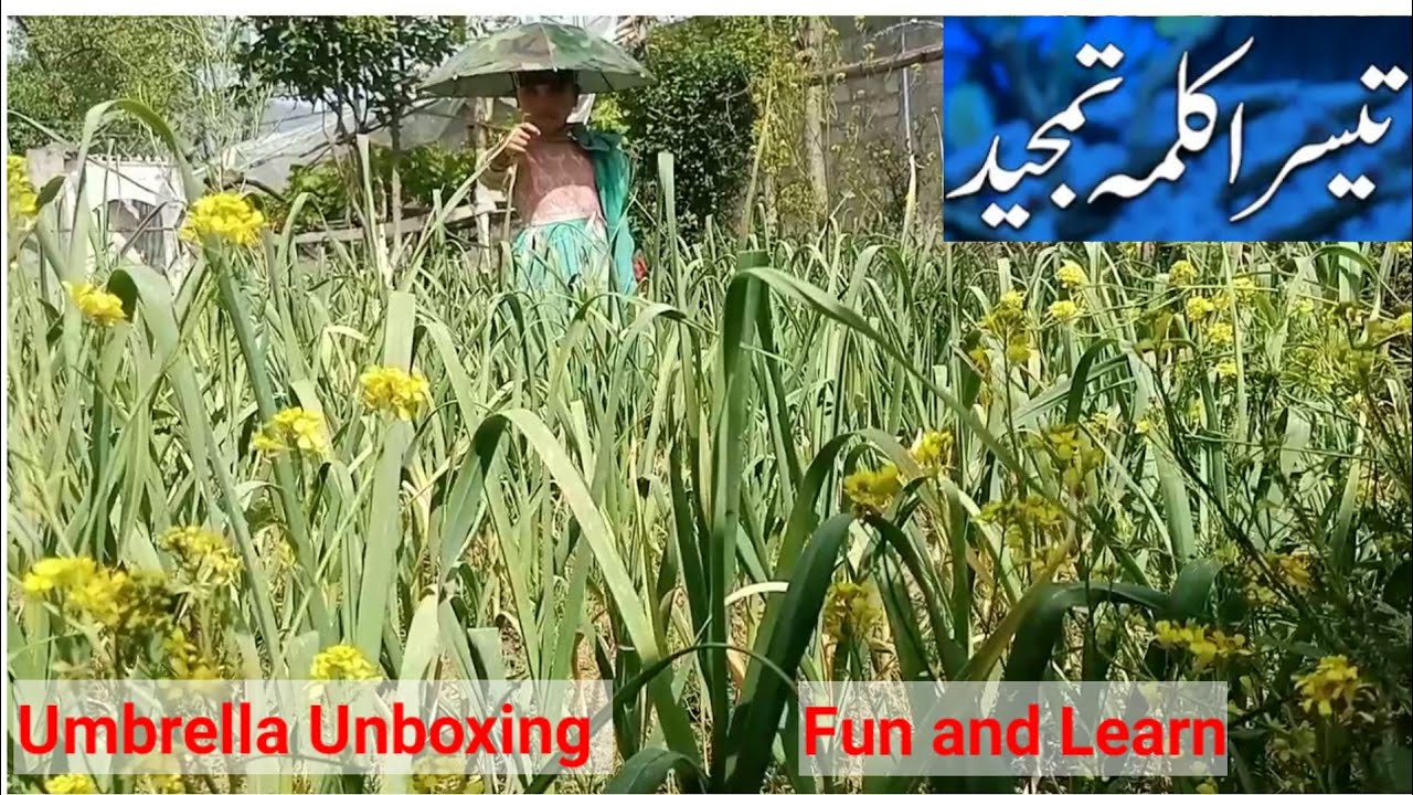 Tesra Kalma tamjid || third Islamic Kalma || Umbrella unboxing || Fun ...