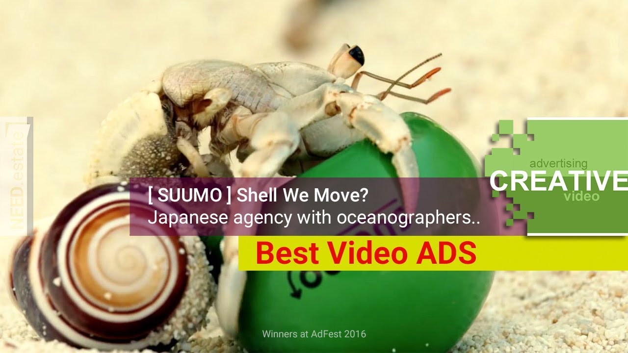 BEST 🏆 ADS [ SUUMO ] 😍 Shell We Move? - YouTube