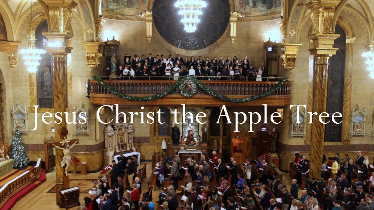 Jesus Christ the Apple Tree - YouTube