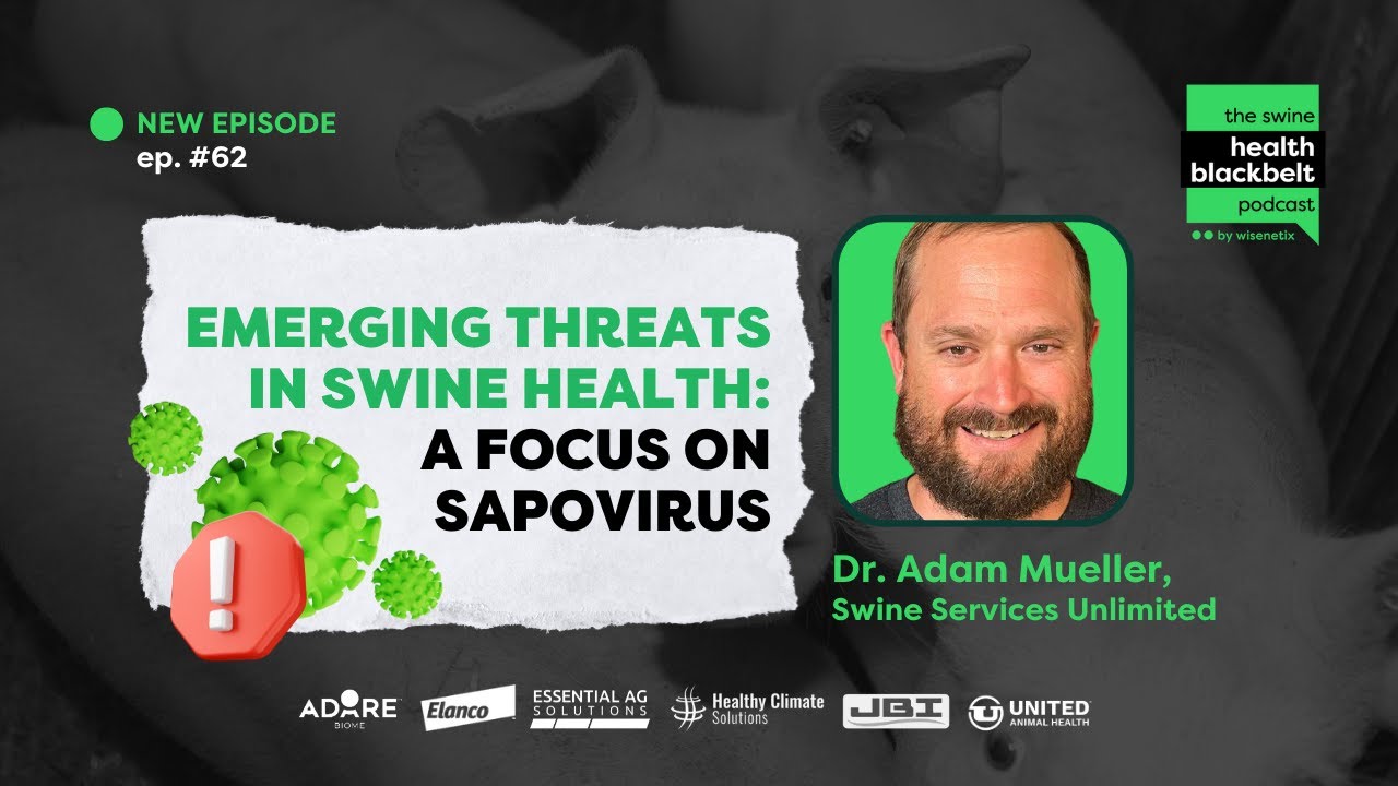 Dr. Adam Mueller: Sapovirus in Swine Health | Ep. 62 - YouTube