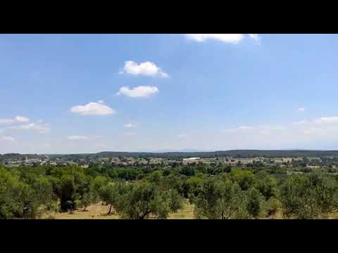 Bayramiç Zeytinli Köyünde Huzur Dolu Satılık Zeytinlik