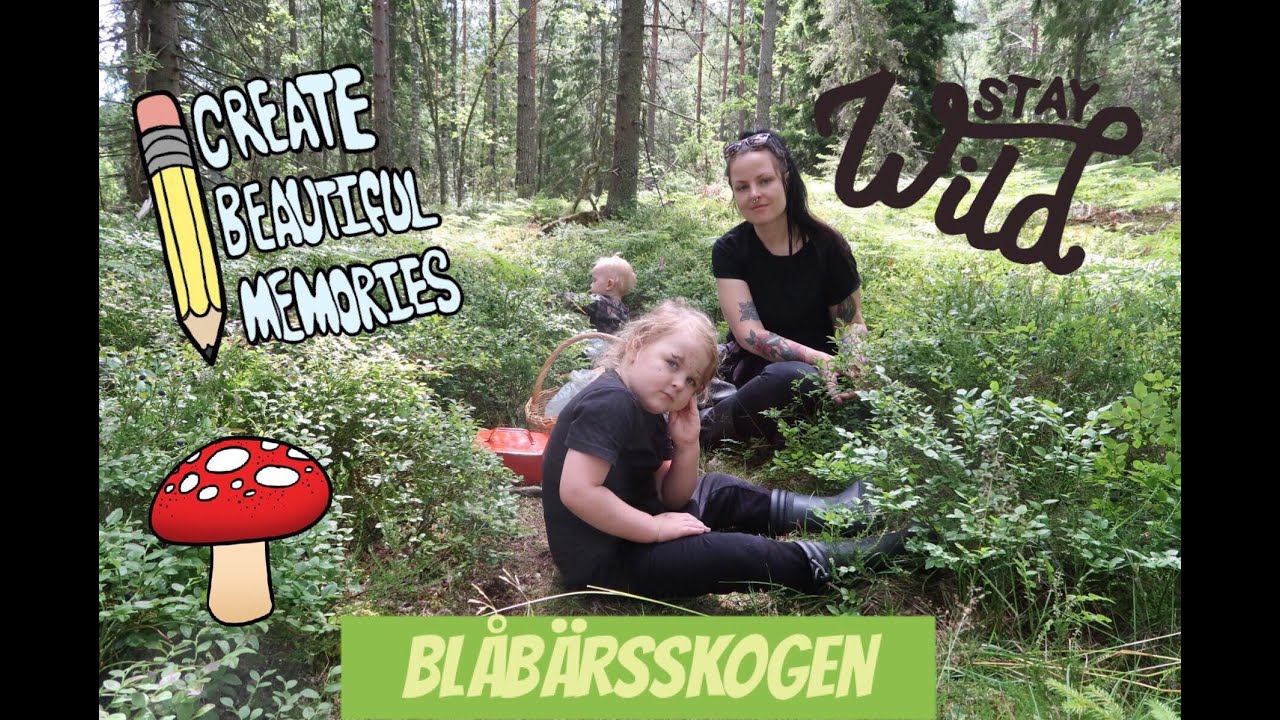 Vlogg Äventyr I Blåbärsskogen Youtube