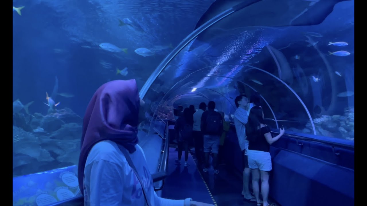 Went to Aquaria & Sephora KLCC, mini sephora haul | Vlog - YouTube