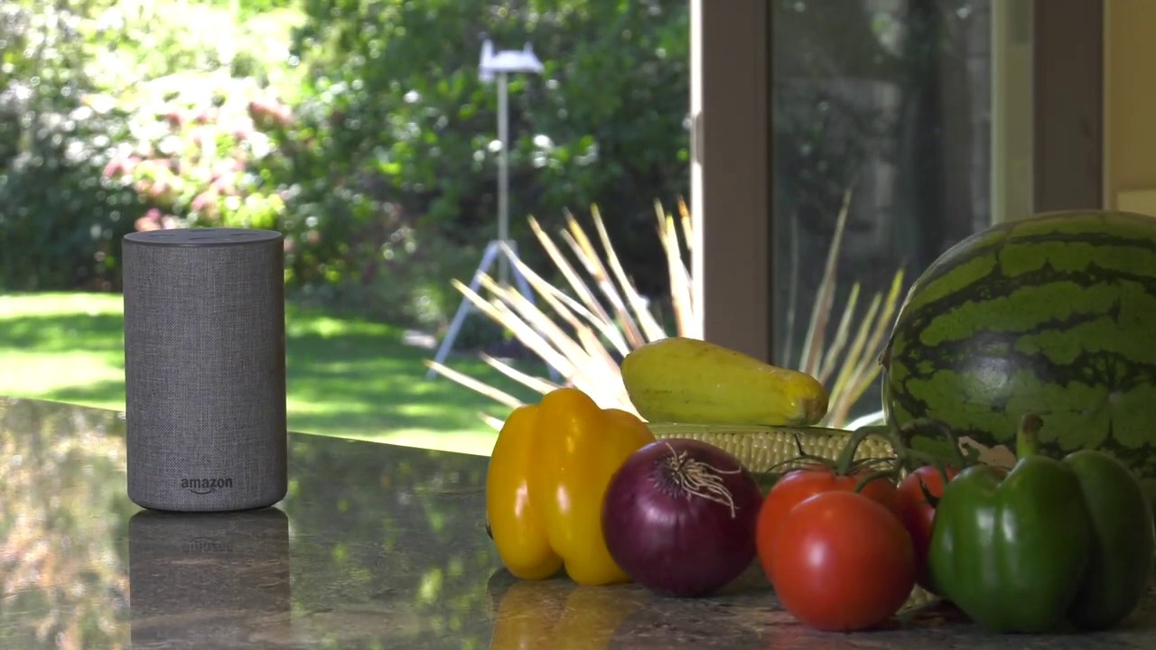 Get your current weather conditions. Just ask Alexa! - YouTube