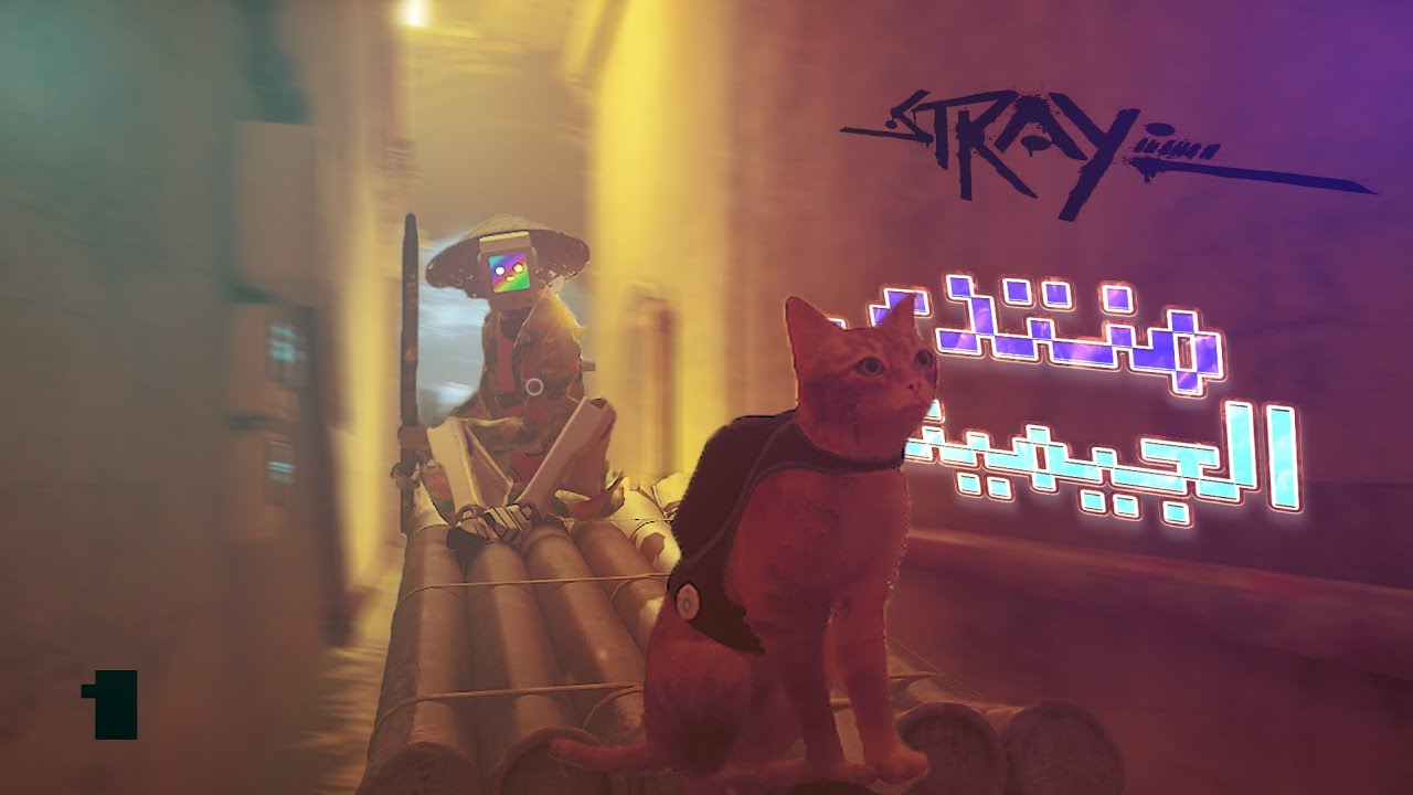 Doc returning || عودة الدوك Stray gameplay - YouTube