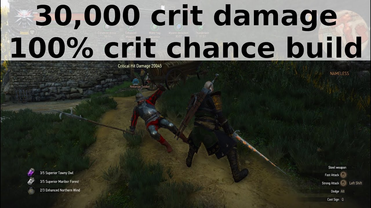 Witcher 3 - 30,000 crit damage, 100% crit chance build - YouTube