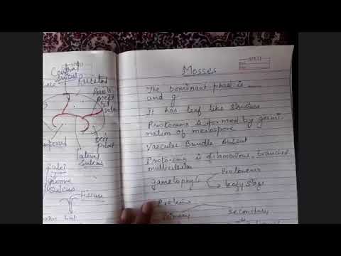 Class 11th Kingdom Plantae; Mosses - YouTube