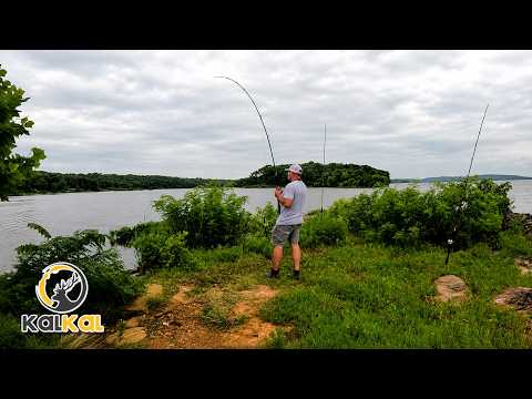Found some post spawn catfish in shallow water