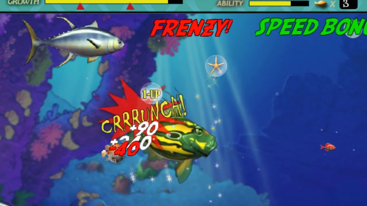 Feeding Frenzy #29 Tuna Sashimi 🎮 James Games - YouTube