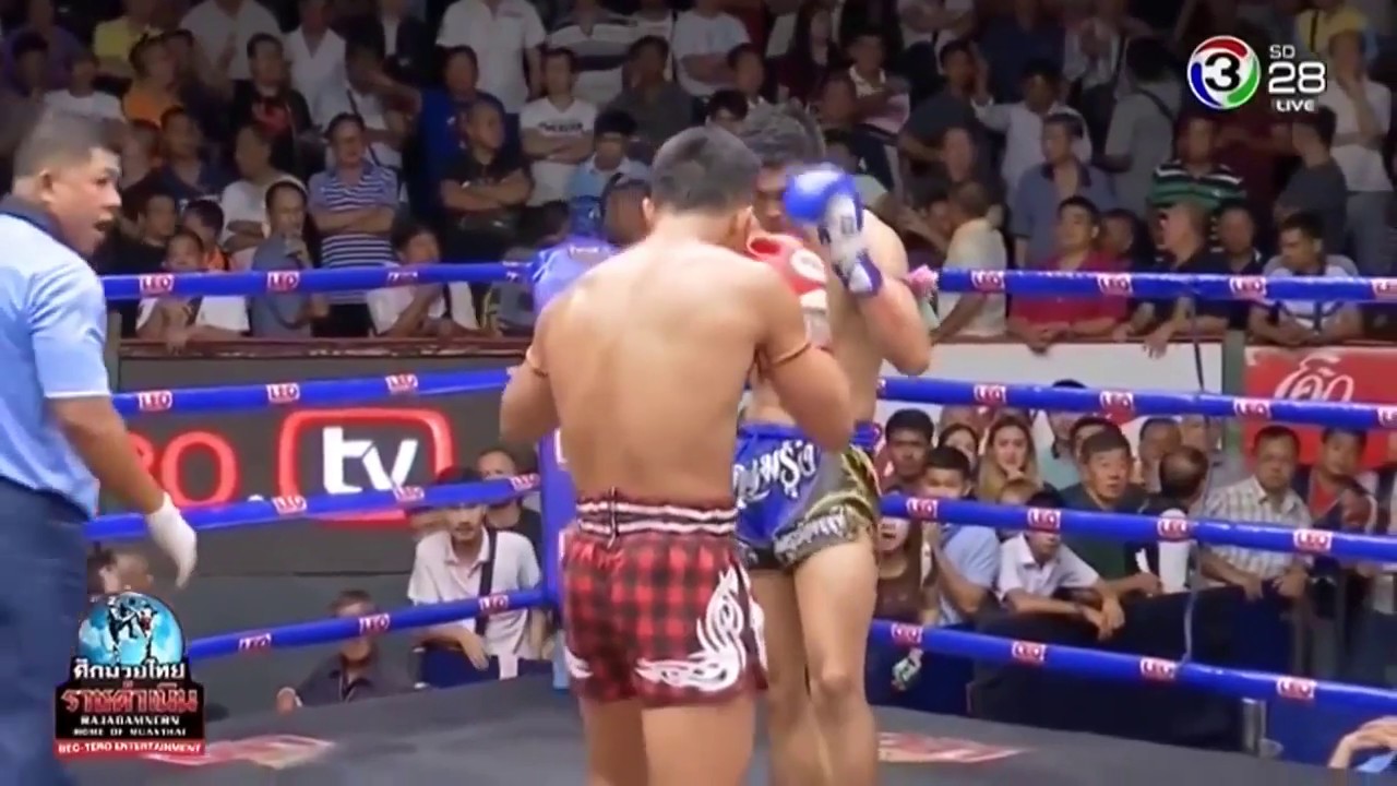 Mini Study - Panpayak Sitchefboonthum: Dismantling the Dracula Guard ...