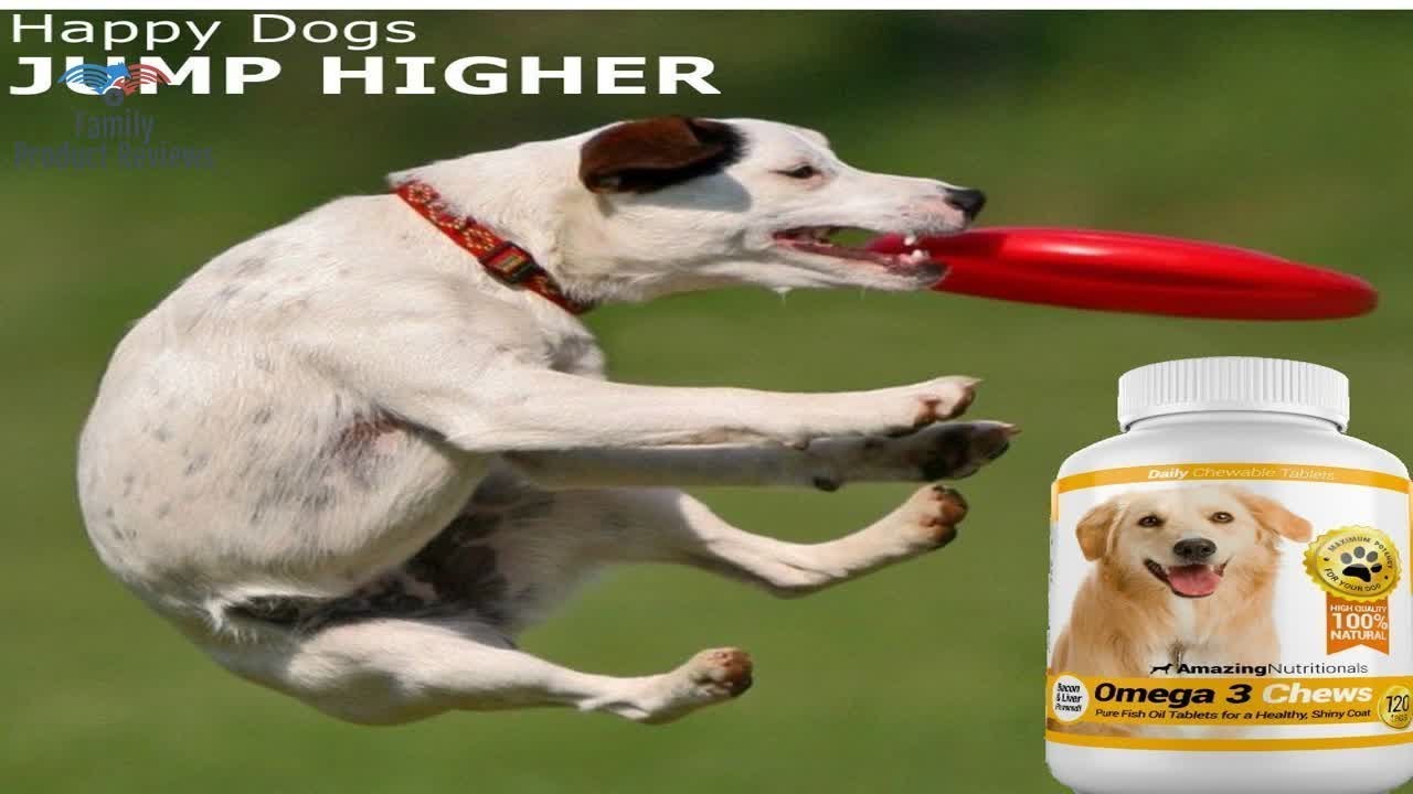 Amazing Omega for Dogs - Dog Fish Oil Pet Antioxidant for Shiny Coat ...