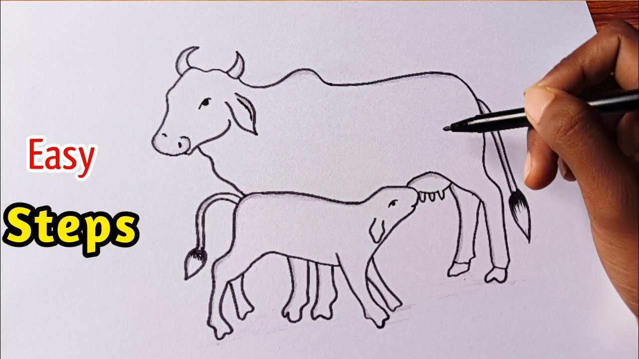 How to Draw a Cow and calf / Mattu Pongal Drawing / Easy Cow Drawing ...