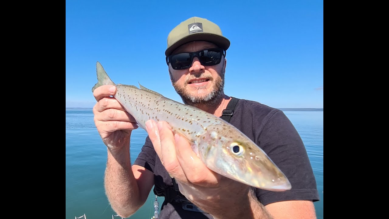 EPIC KING GEORGE WHITING SESSION - Western Port Bay 31st March 2021 ...