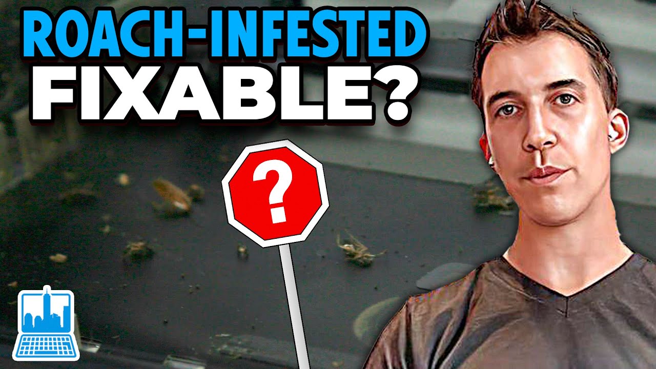 See Roaches In A Computer! What Should I Do? - YouTube