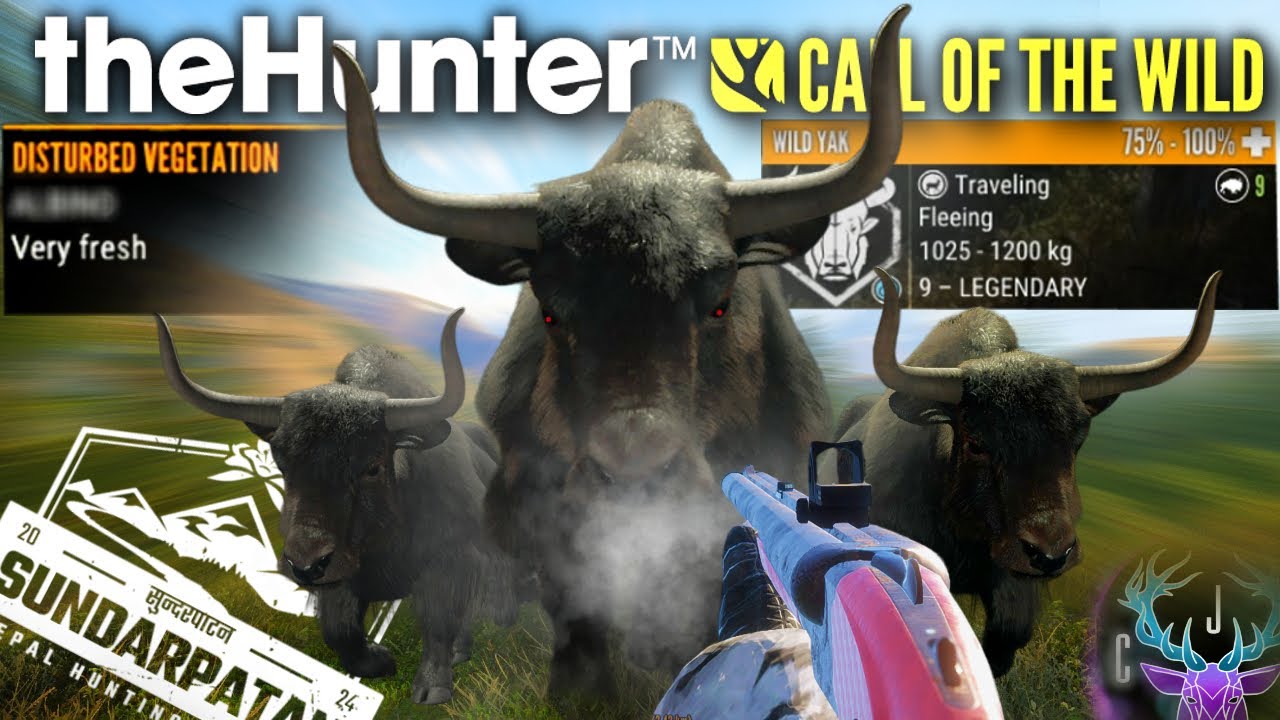 The BIGGEST GUN vs The BIGGEST Animal On Sundar Patan | The hunter call ...