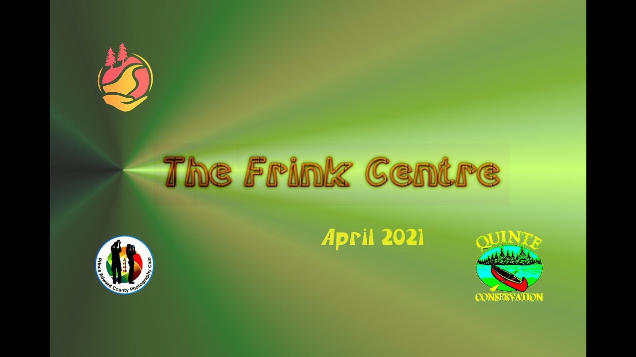 Frink Centre Conservation Area - YouTube