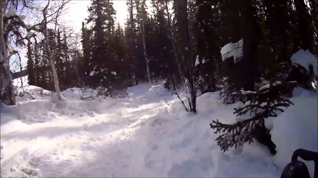 Cabin Sled Ride Youtube - YouTube
