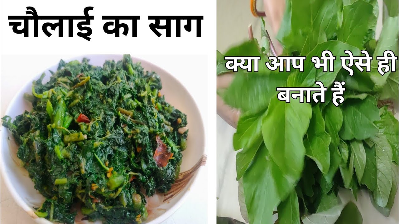 चौलाई का साग | Cholai Saag recipe | चौलाई का साग कैसे बनाते है ...