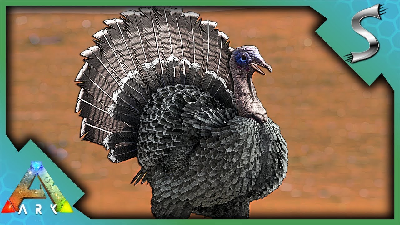 HUNTING DOWN EVERY SUPER TURKEY ON MY SERVER TO CRAFT NEW ITEMS! - Ark ...
