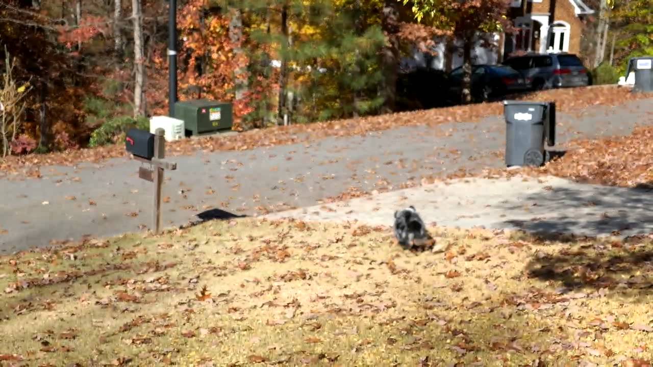 Fujifilm X-E1 / 720p / 24p / MOV / sample video