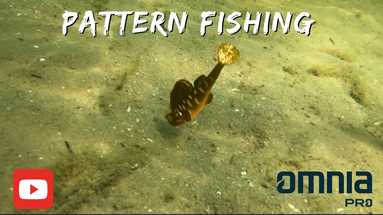 Fish Different Patterns to Catch more Bass! - YouTube