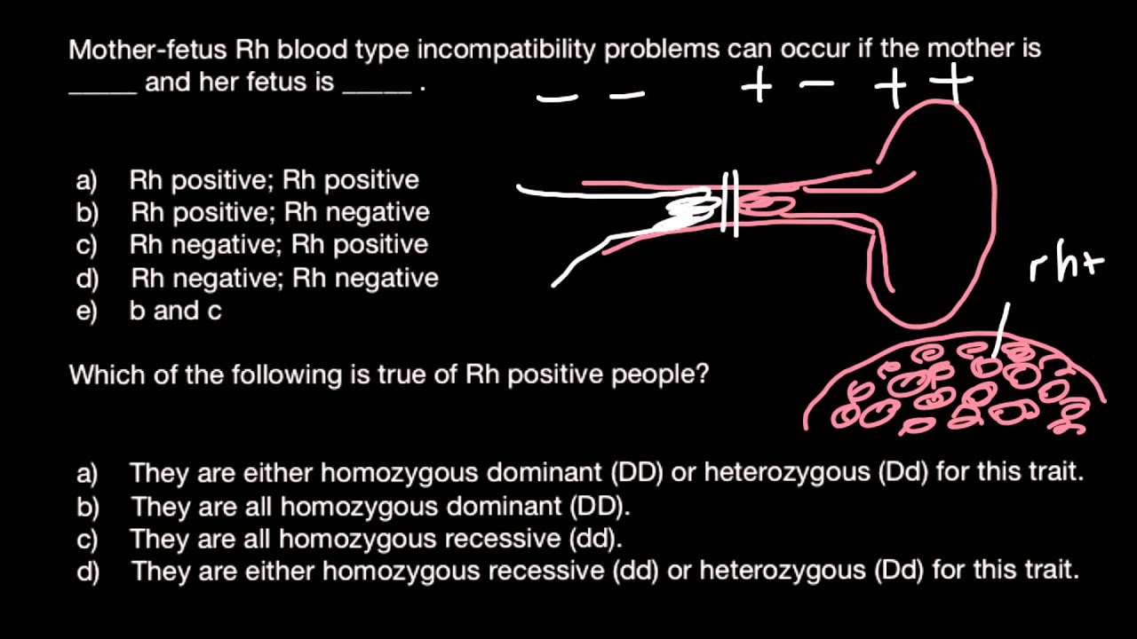 Rh blood groups explaned - YouTube